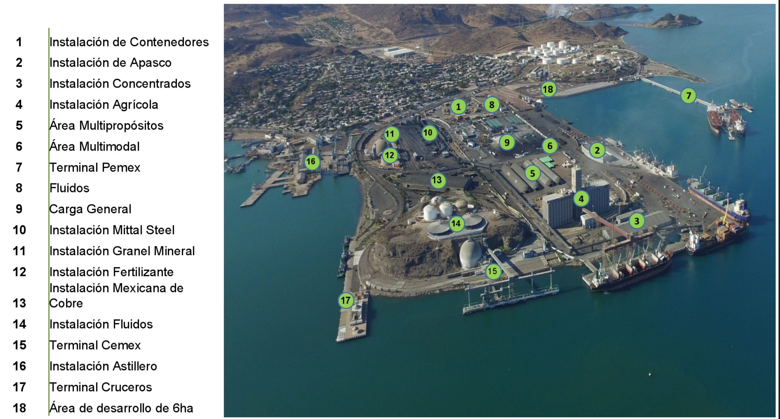 Terminales especializadas